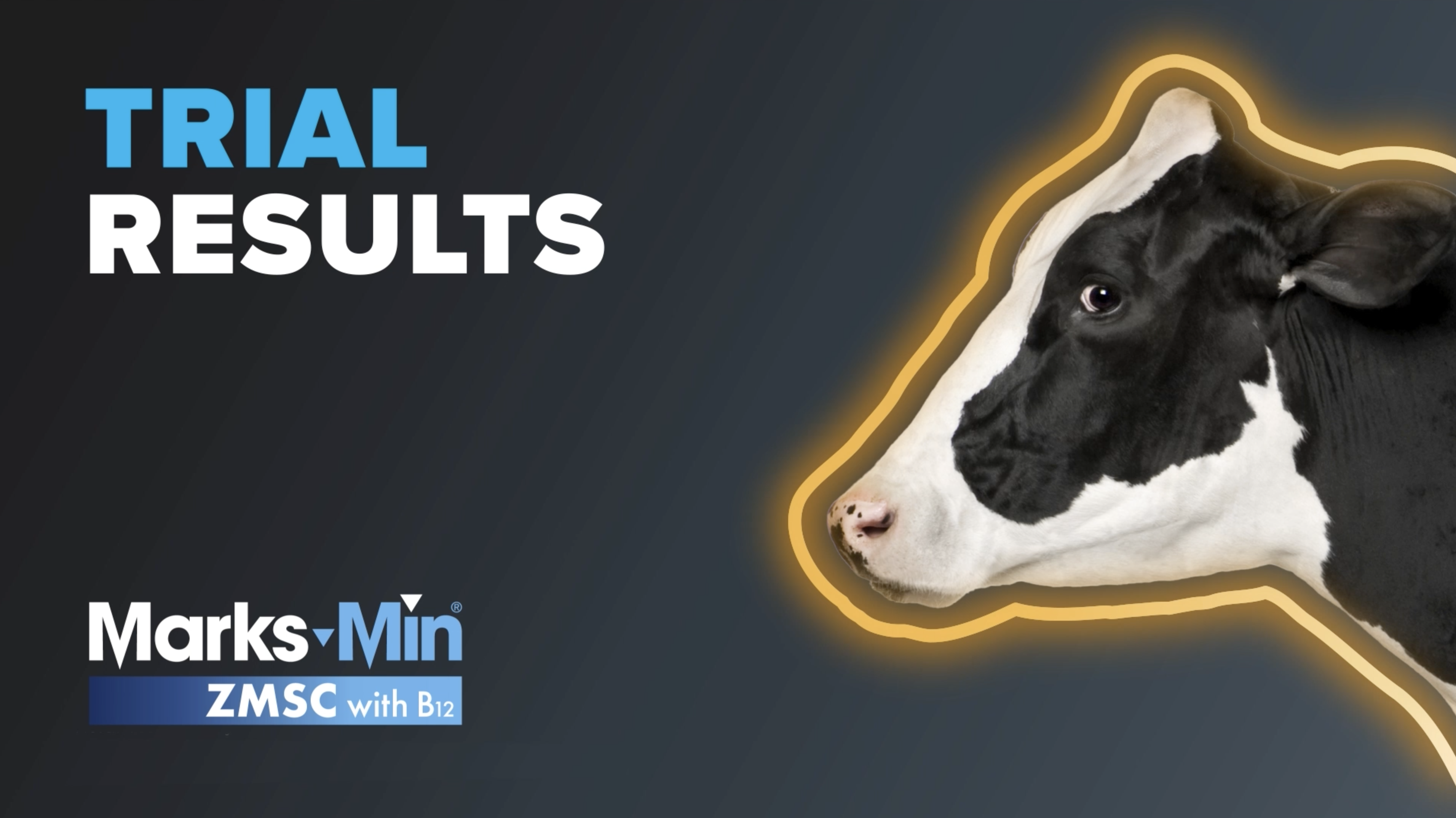 MARKS-MIN | Future Producers