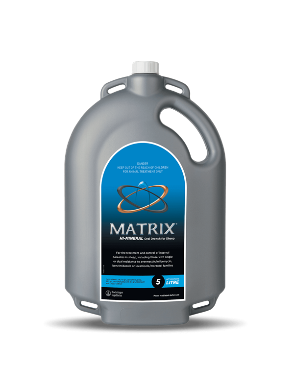 COPAJECT | Future Producers