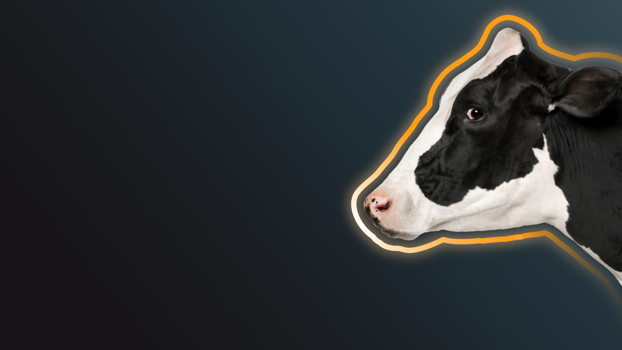 MARKS-MIN | Future Producers