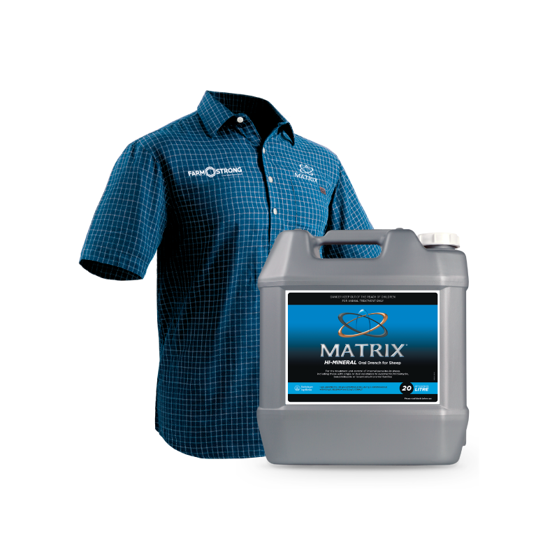 What you put in today will pay dividends tomorrow.