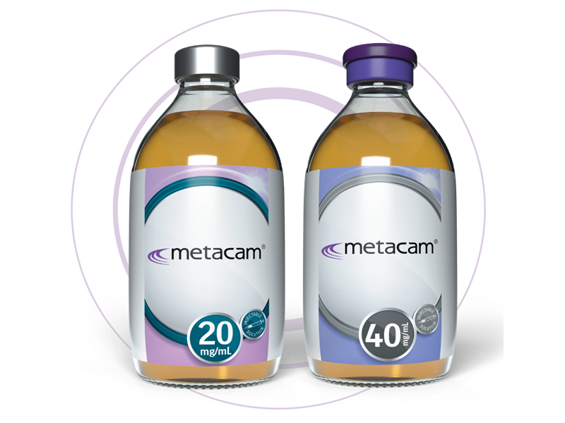 METACAM | Future Producers