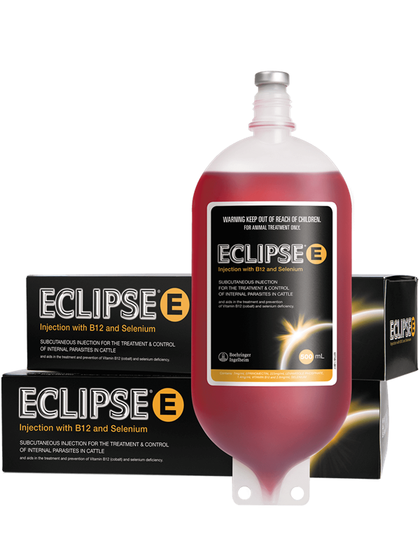 Promotions | Future Producers