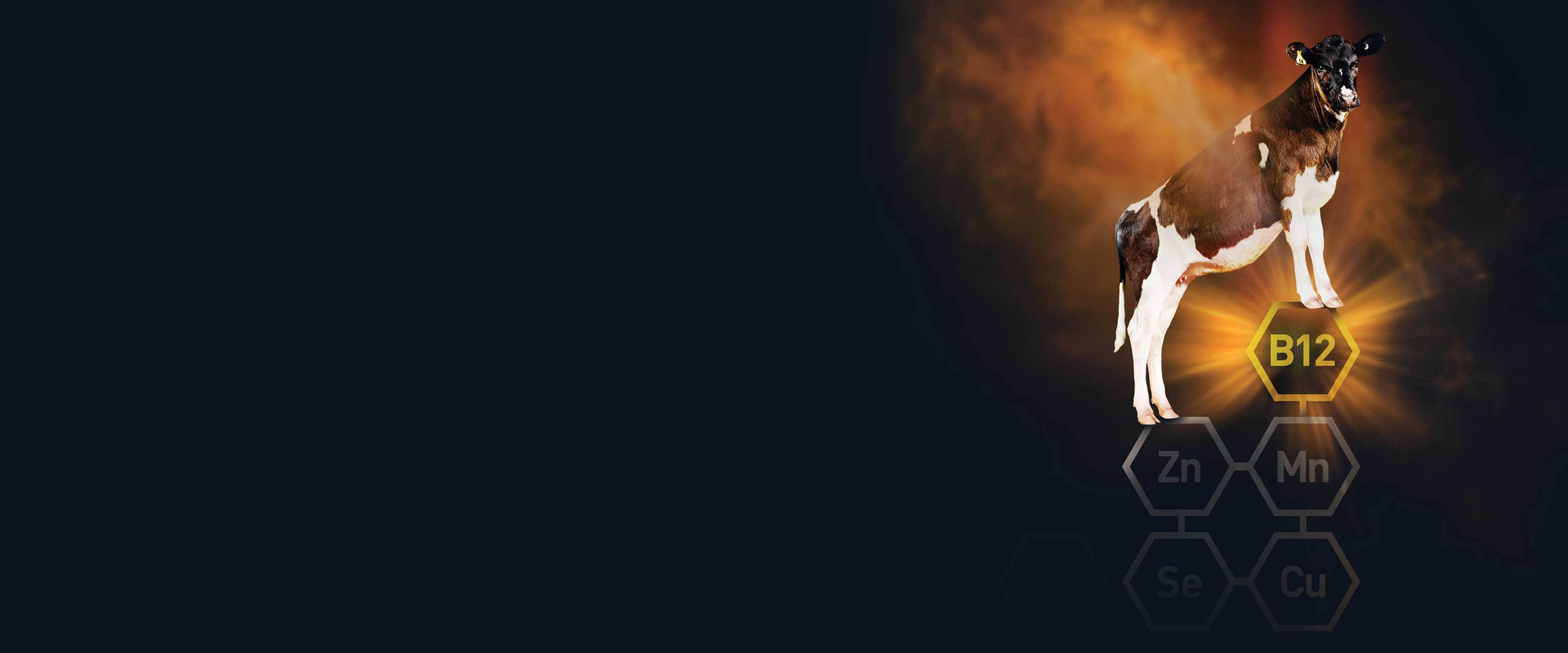 Marks-Min | Future Producers