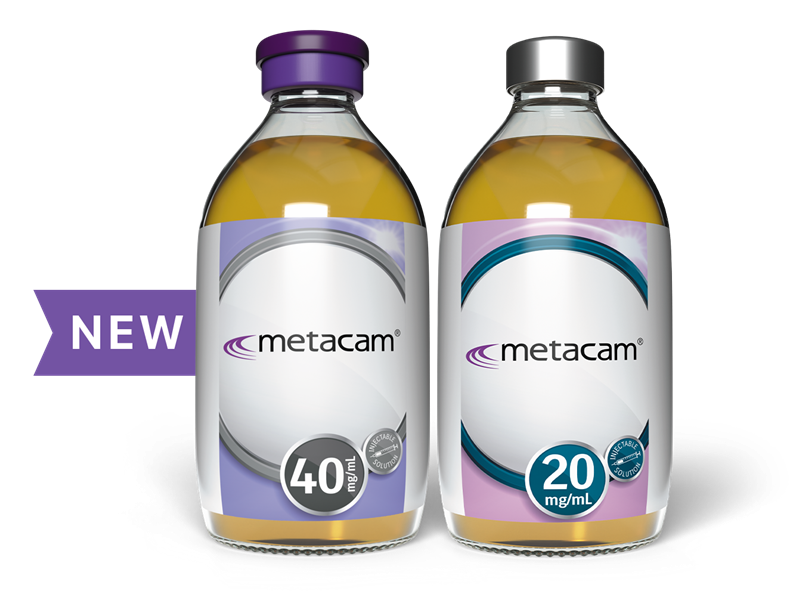 METACAM | Future Producers