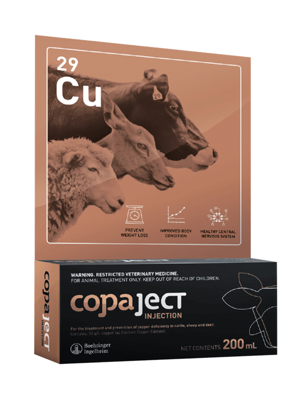 MARKS-MIN | Future Producers