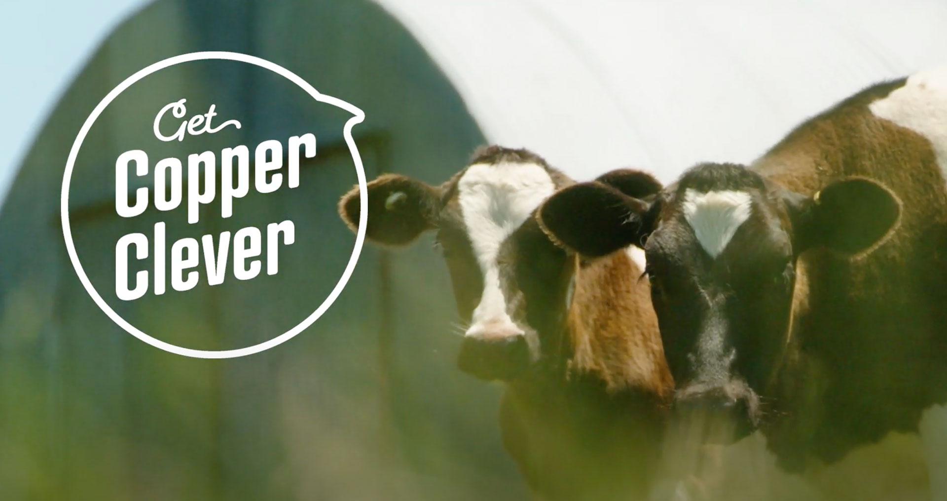 COPAJECT | Future Producers