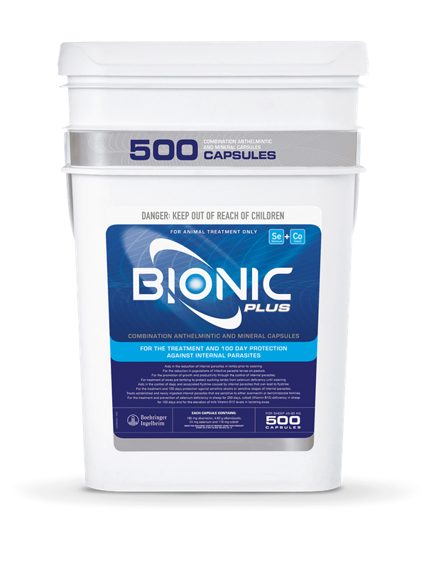 Promotions | Future Producers