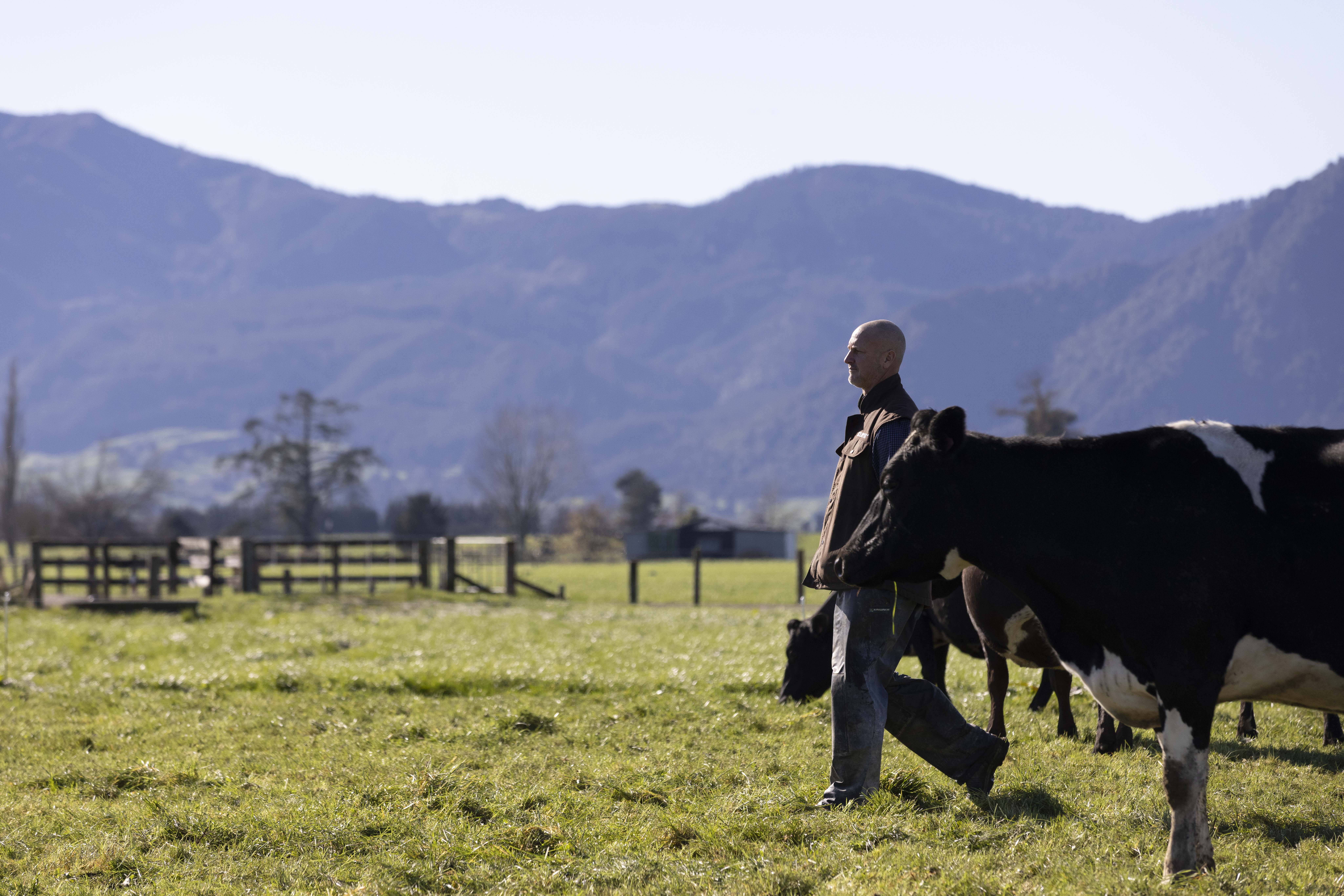 MATRIX C Hi-Mineral Low Dose Oral Drench | Future Producers