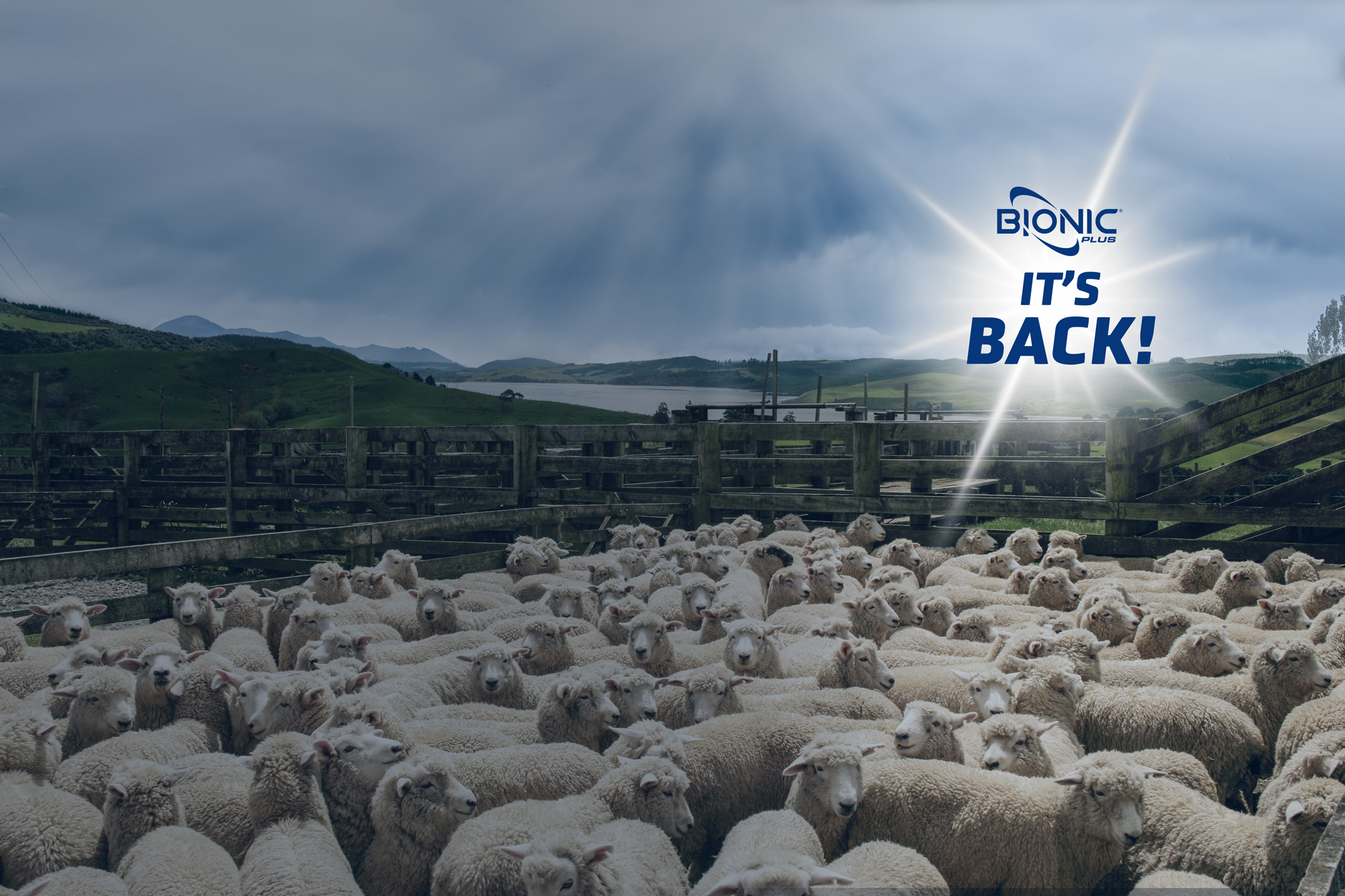 BIONIC Plus | Future Producers