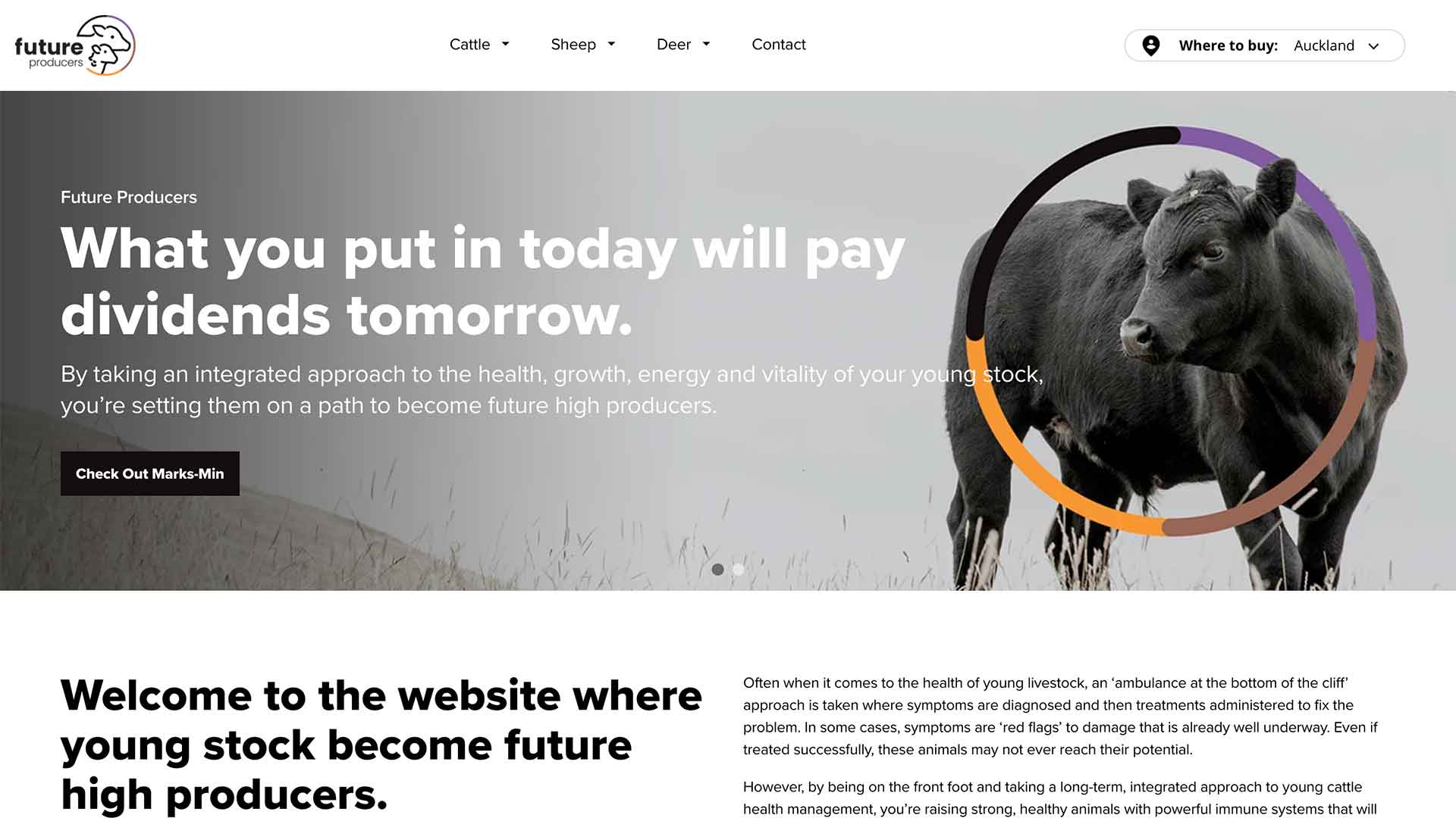 ECLIPSE E Product Information | Future Producers