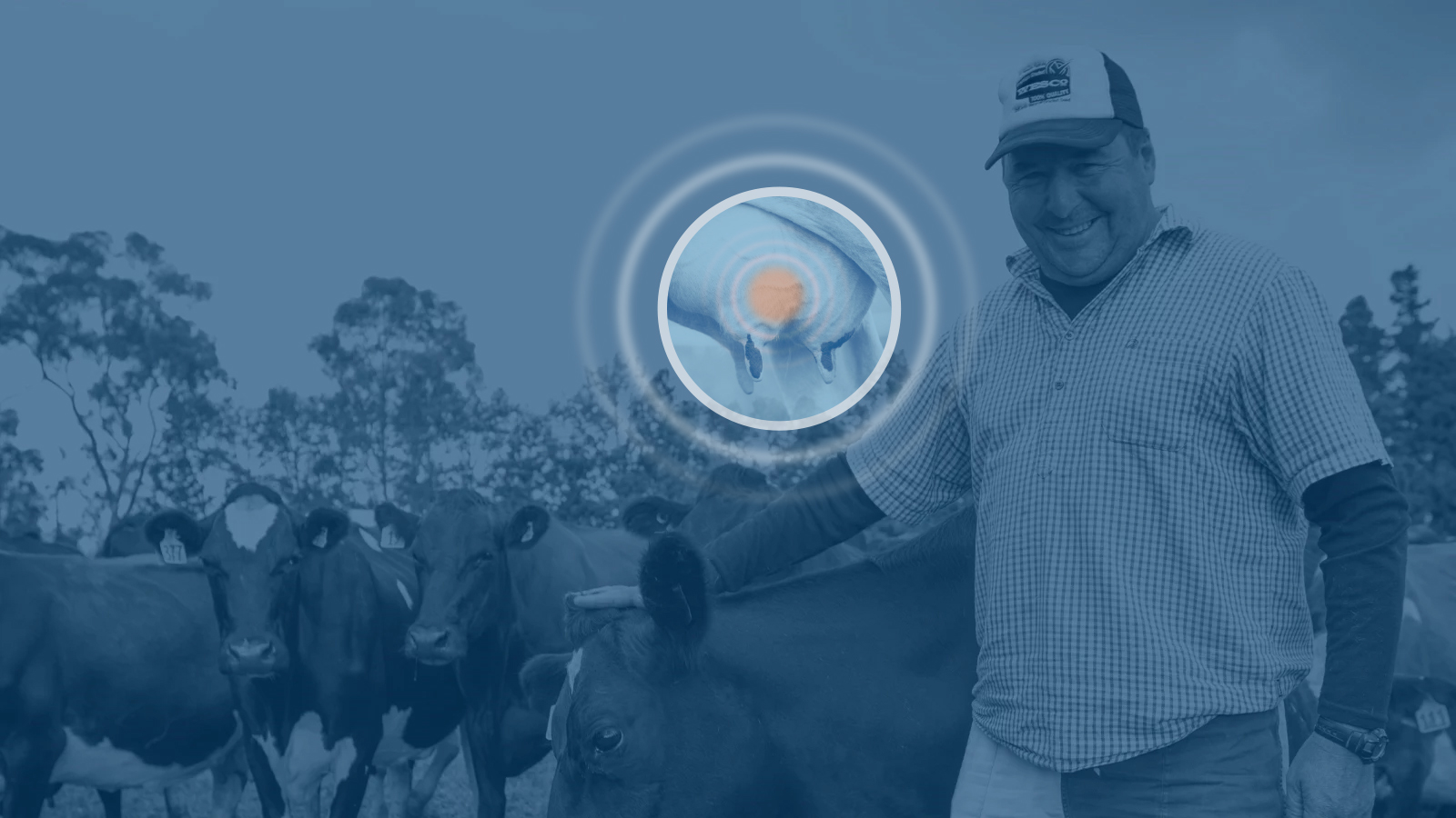 METACAM | Future Producers