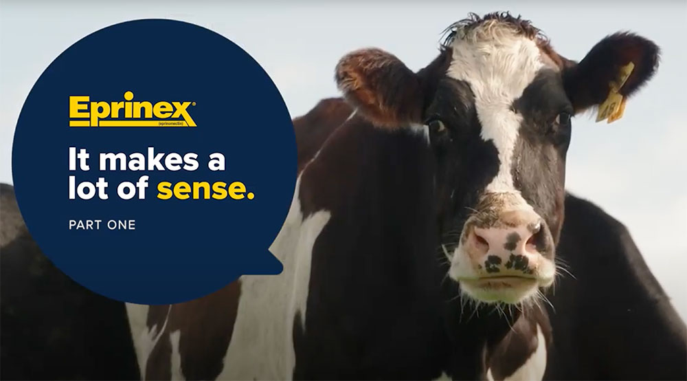 EPRINEX | Future Producers